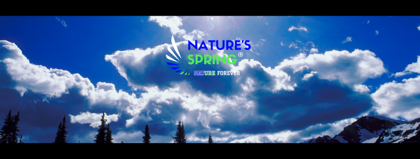 Amazon.fr: NATURE'S SPRING NATURE FOREVER: GAMME FLUIDES