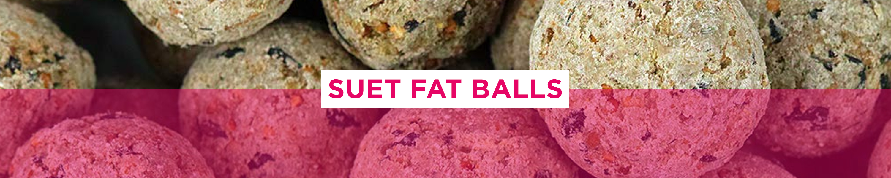 Amazon.co.uk: SQUAWK: Suet Fat Balls