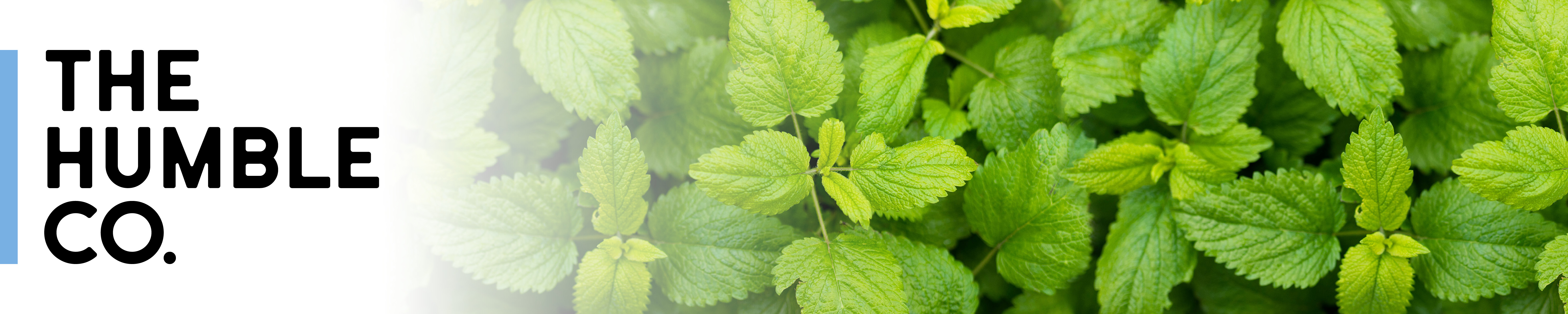 Amazon.co.uk: The Humble Co.: Toothpaste