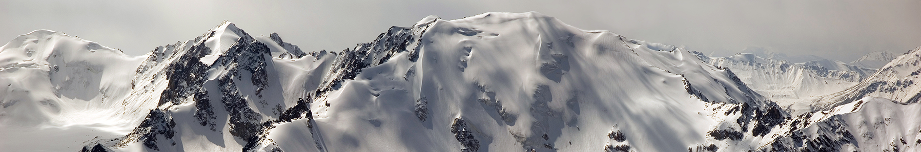 Amazon.co.uk: SURFANIC