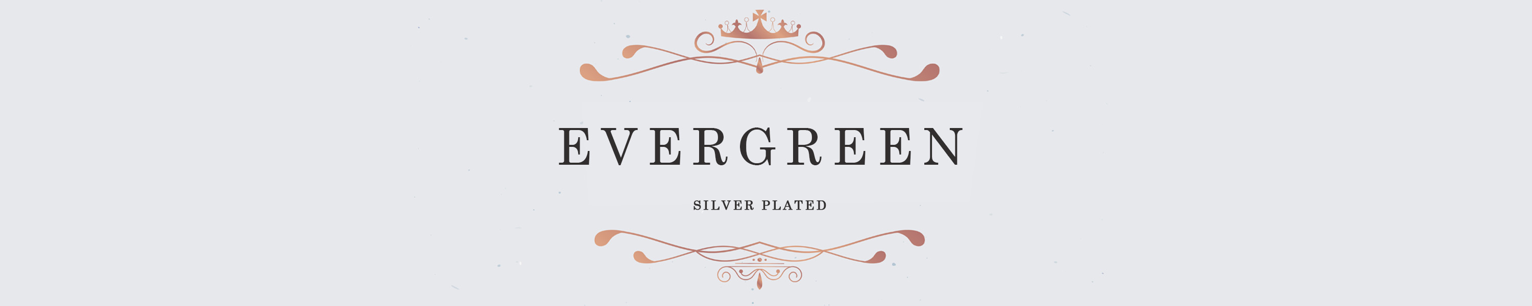 Amazon.co.uk: Evergreen Frames: Silver Plated Frames