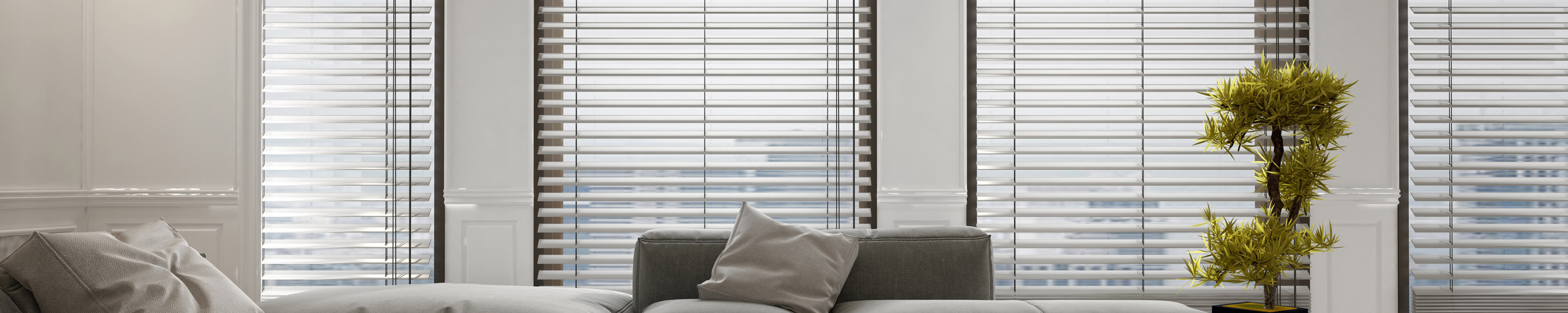 Amazon.co.uk: Sol Royal: Shutter motors