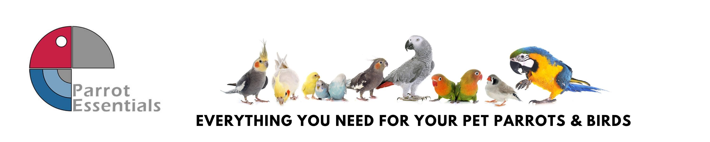 Amazon.fr: Parrot Essentials: PUUR