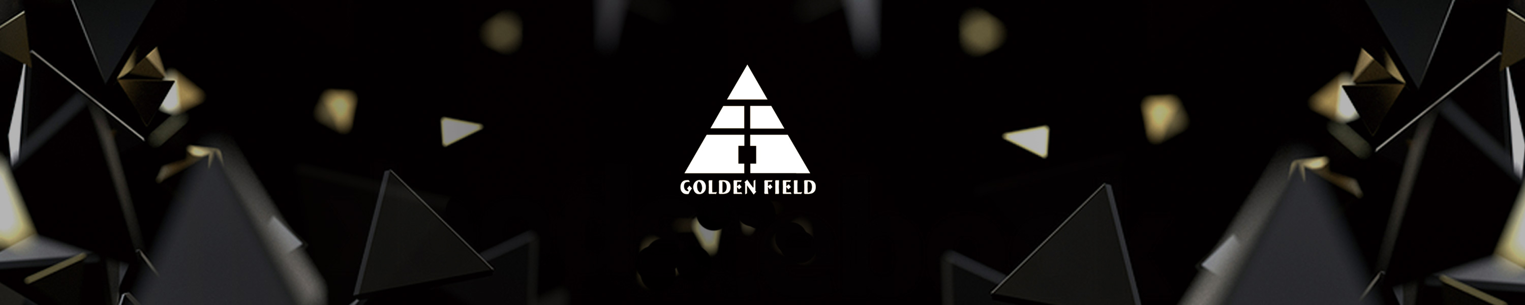 Amazon.co.uk: GOLDEN FIELD: PC Case with Fans