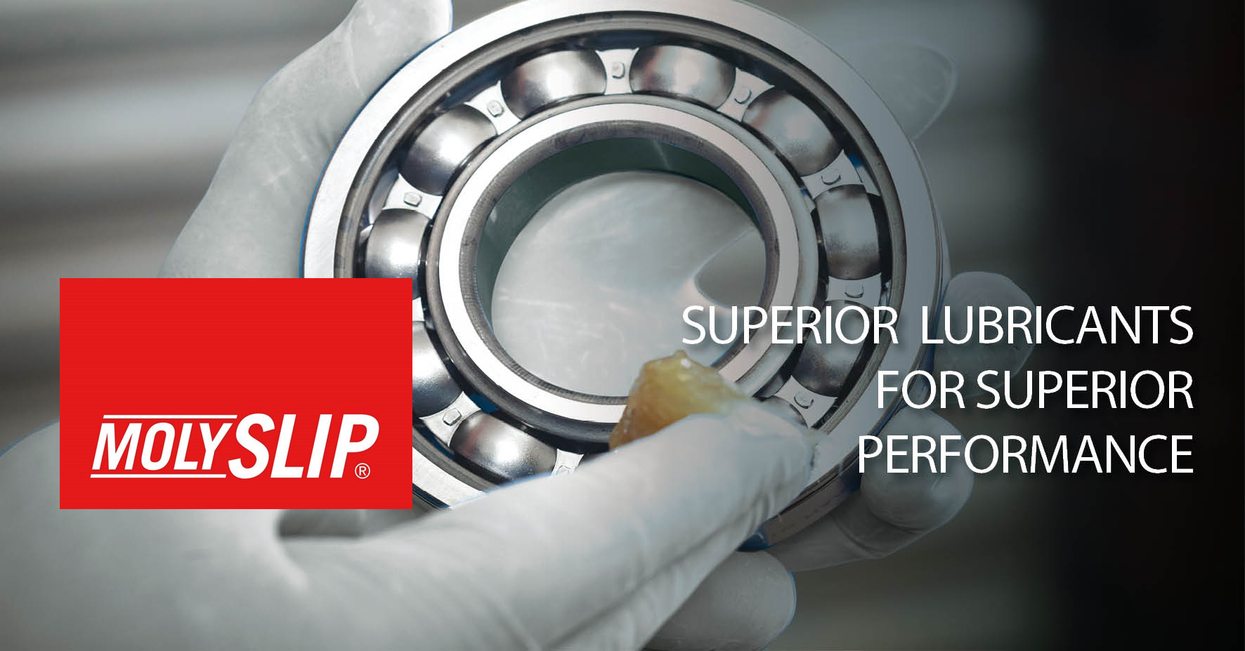 Amazon.co.uk: MOLYSLIP