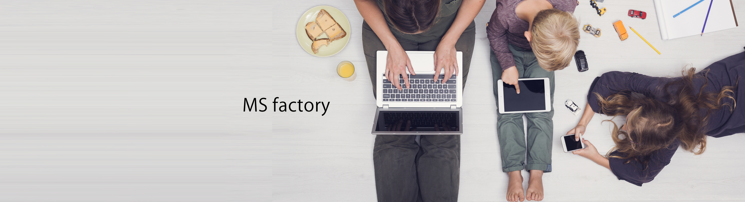 Amazon.co.jp: MS factory