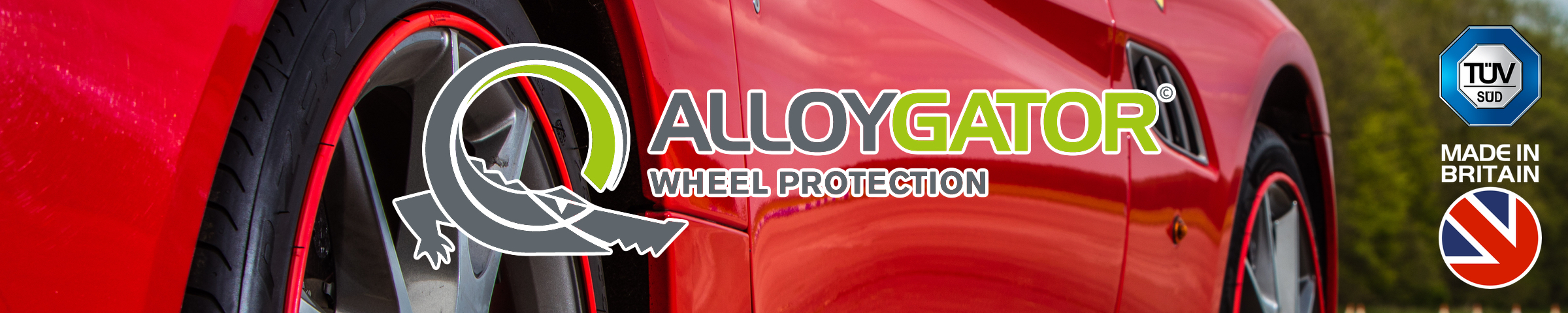 Amazon.co.jp: AlloyGator