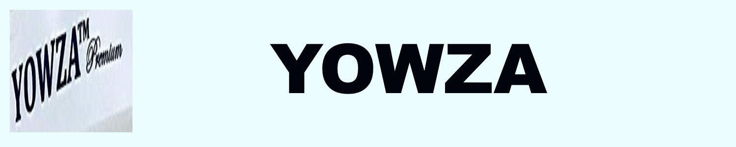 Amazon.in: YOWZA