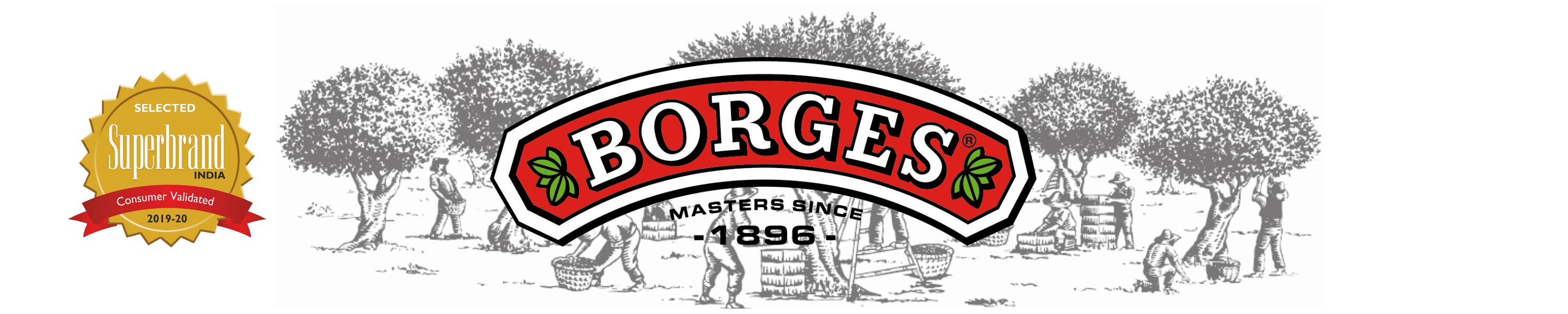 Amazon.in: Borges: Olive Oils