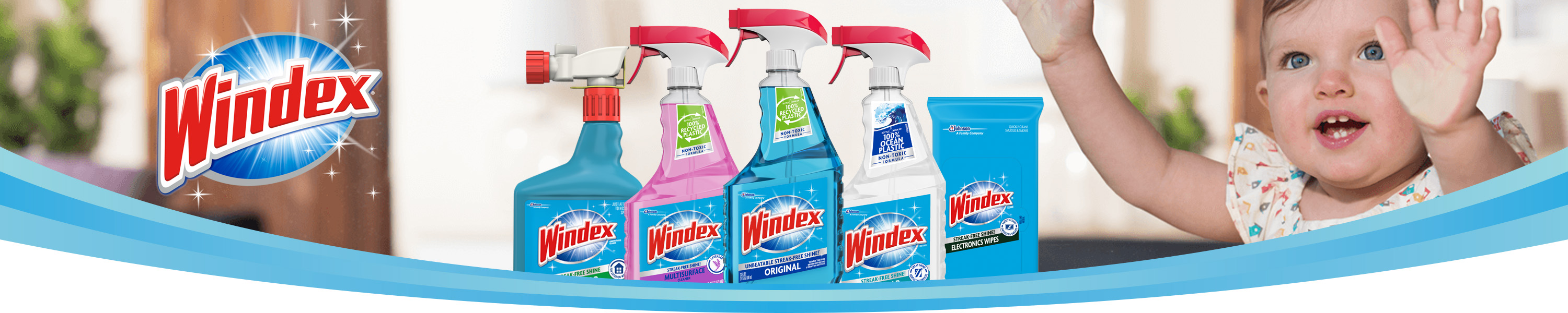 Amazon.ca: Windex