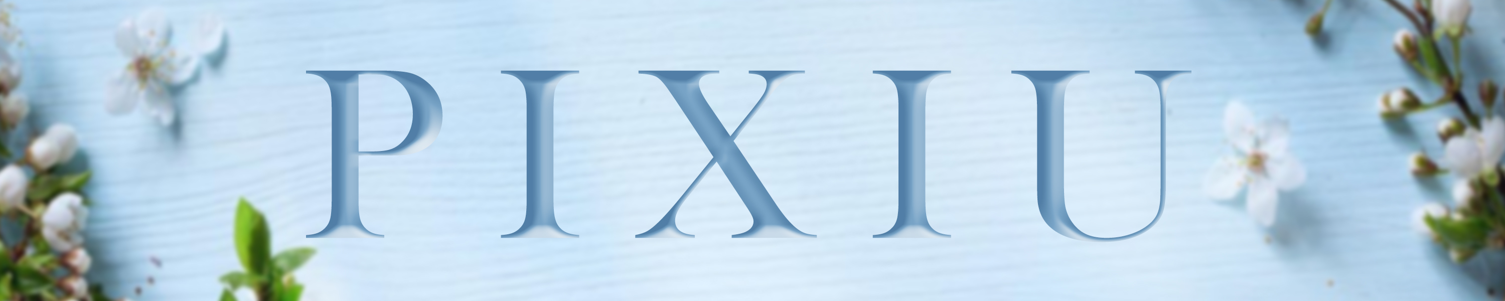 Amazon.com: PIXIU