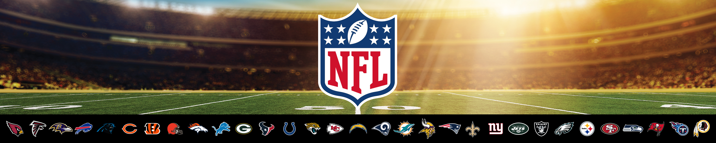 Amazon.com: NFL by ICER Brands: Men