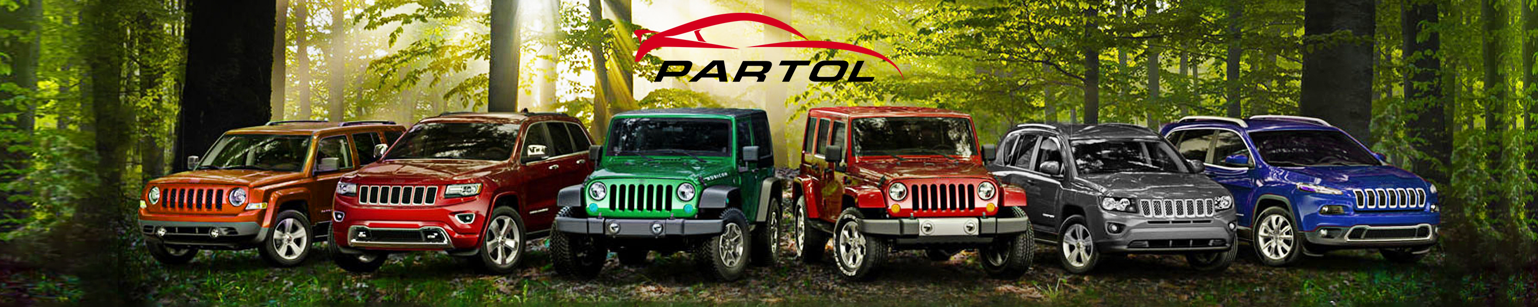 Amazon.com: Partol: NEW ARRIVAL