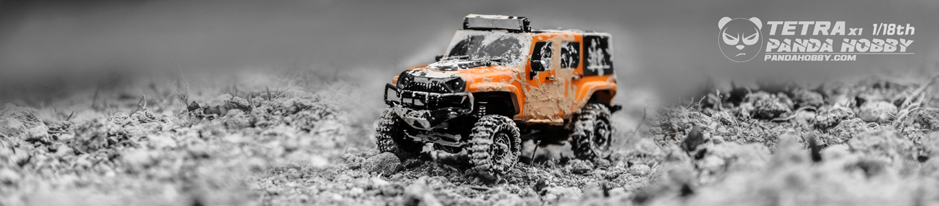 Amazon.com: PANDA HOBBY: TETRA 18 4X4