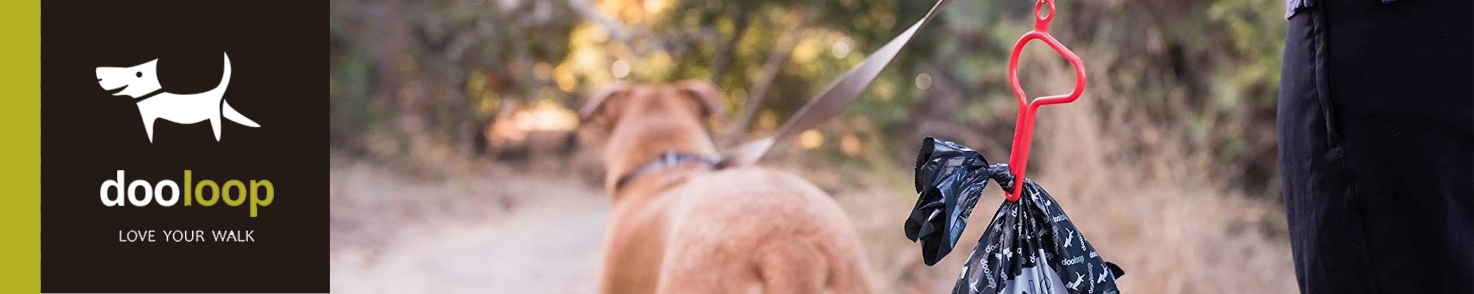 Amazon.com: dooloop: The dooloop Story