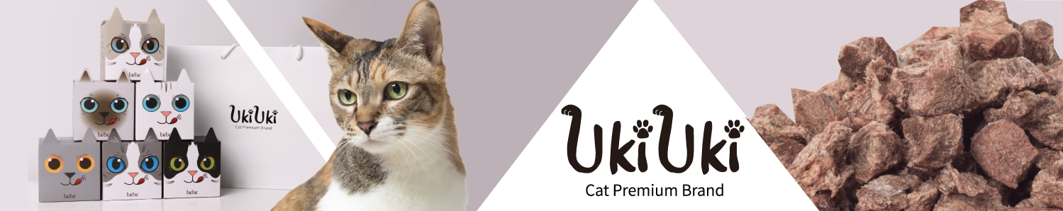 Amazon.com: UKIUKI: NOTE