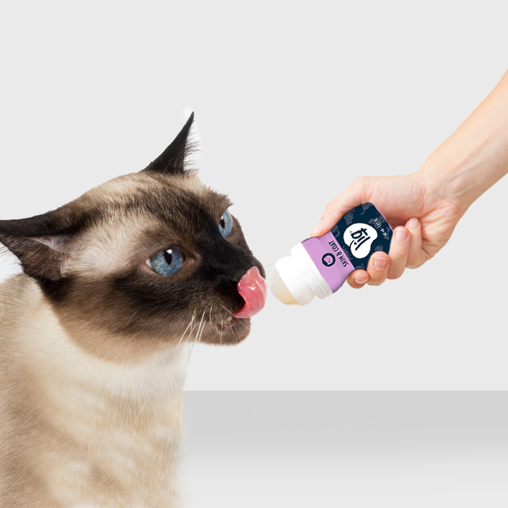 Amazon.com: LIQ - The new guilt-free way of treating your pet!: LIQ for ...