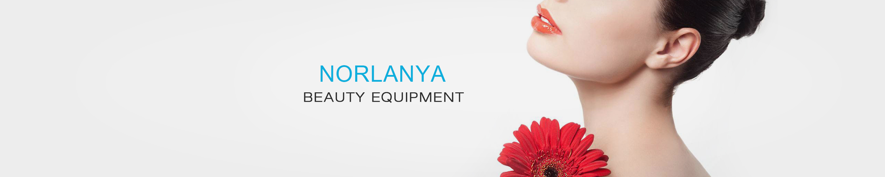 Amazon.com: NORLANYA