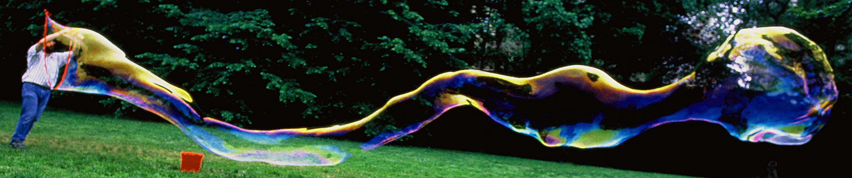 Amazon.com: Bubble Thing