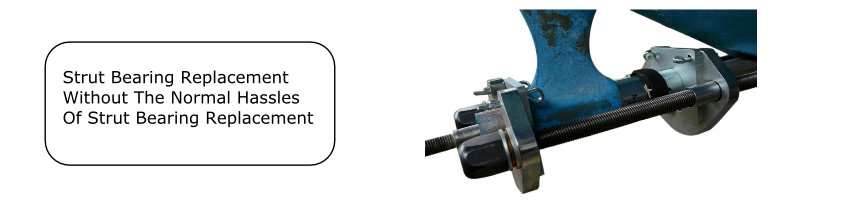 Amazon.com: STRUT PRO