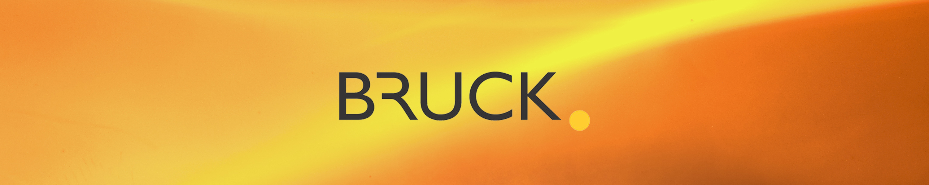 Amazon.com: Bruck Lighting