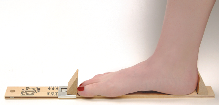 Amazon.com: Ritz Stick