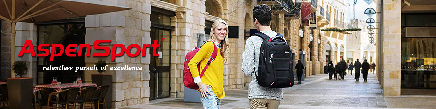 Amazon.com: ASPEN: Fit 15.6inch laptop