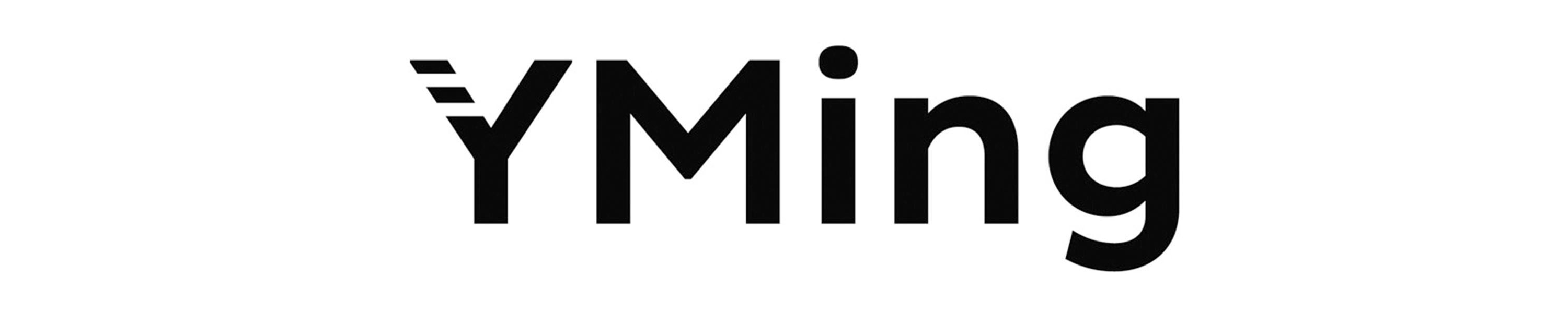 Amazon.com: YMing: string lights