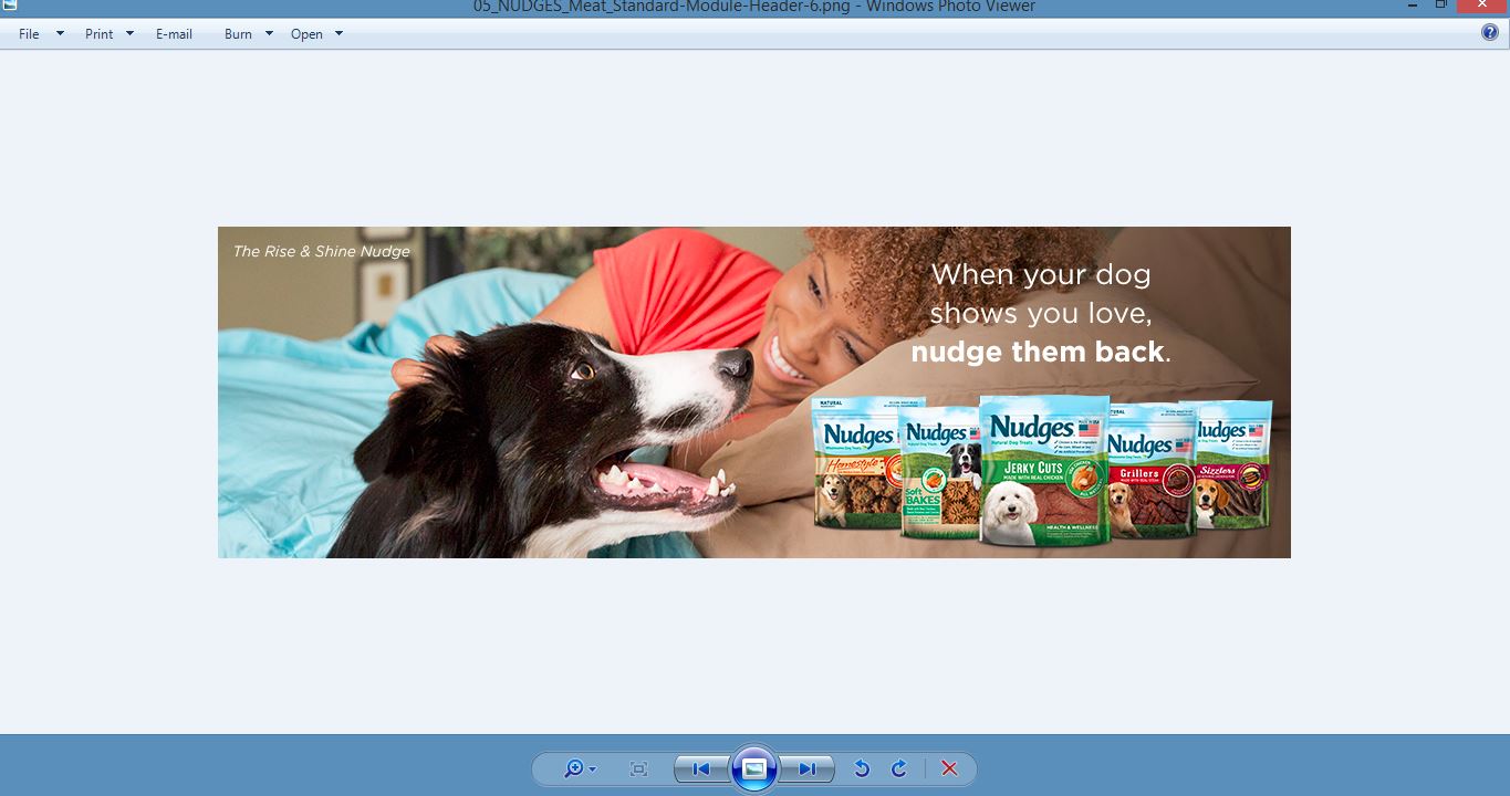 Amazon.com: Nudges: Homestyle Treats