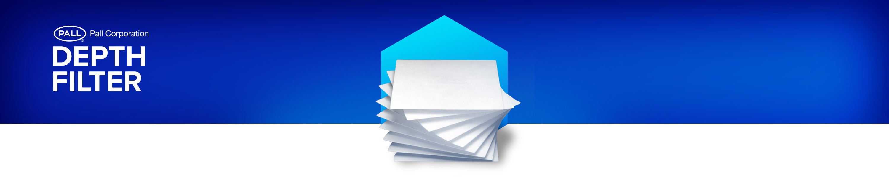 Amazon.com: PALL: Depth Filter