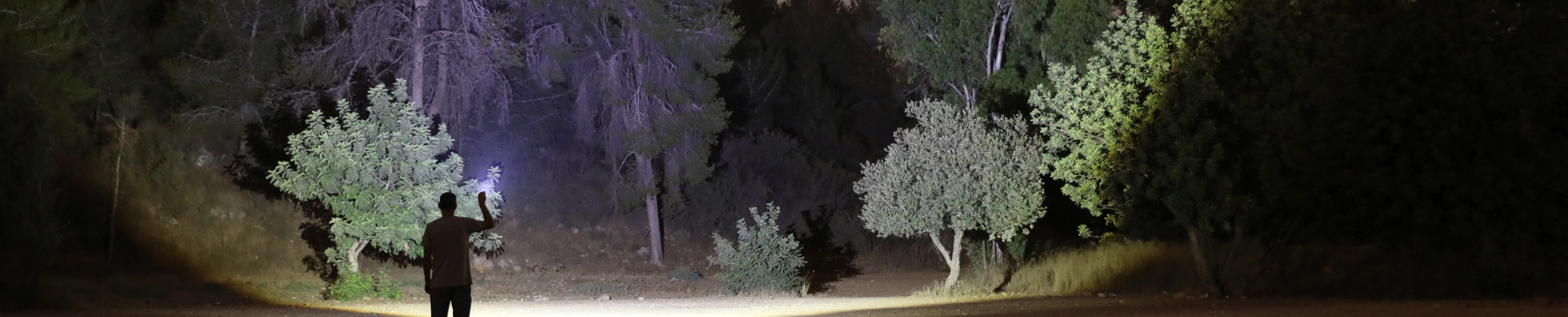 Amazon.com: Brightex