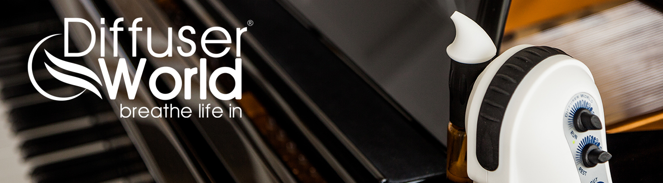 Amazon.com: DIFFUSER WORLD: Diffusers