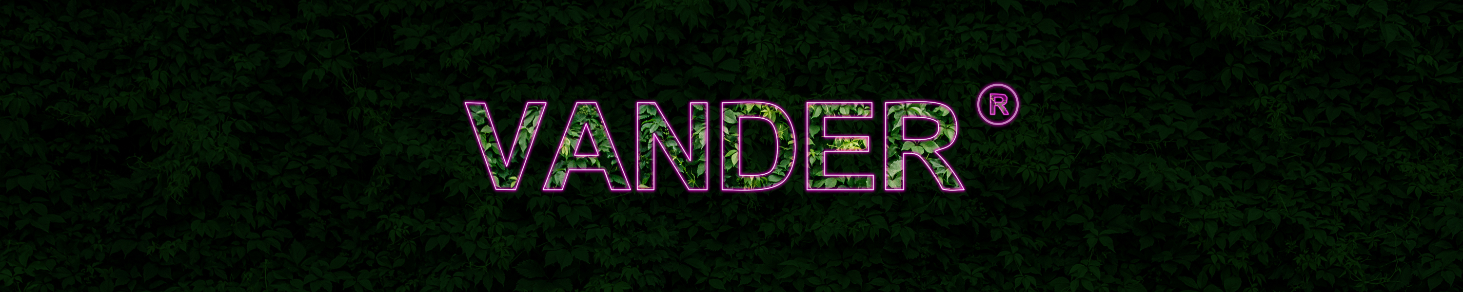 Amazon.com: V VANDER LIFE: Bookshelf