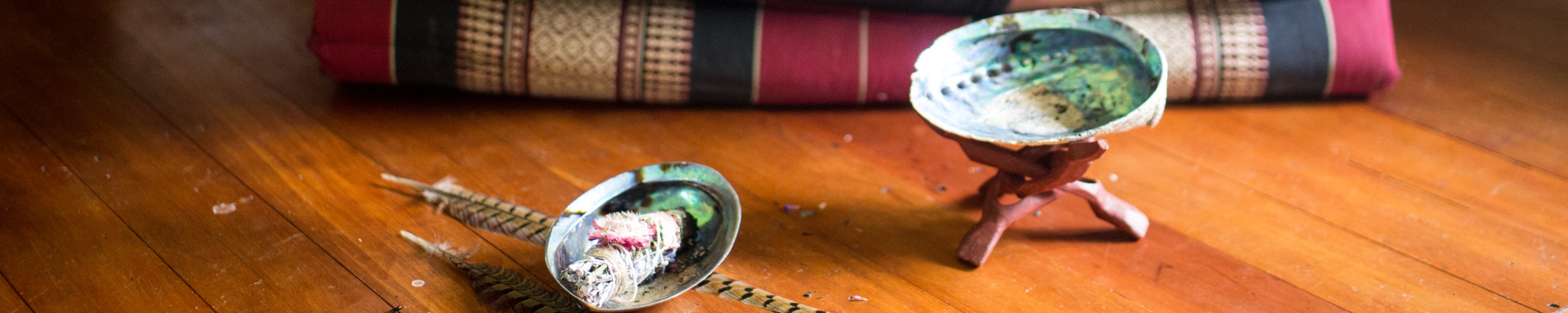 Amazon.com: Ocean Shell Studios.