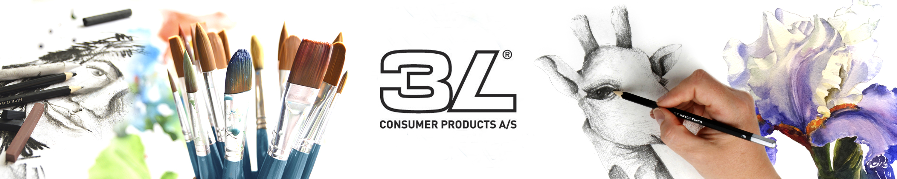 Amazon.com: 3L Corporation