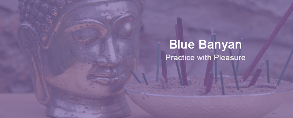 Amazon.co.uk: Blue Banyan