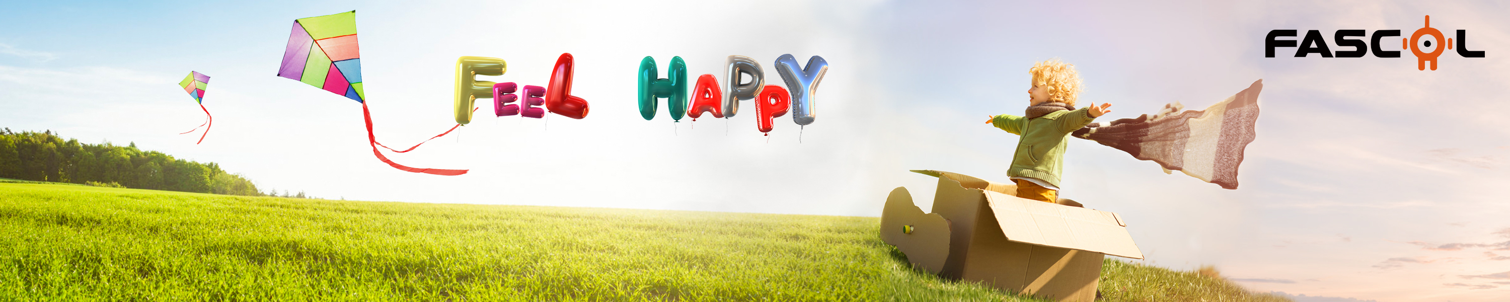 Amazon.co.uk: Fascol