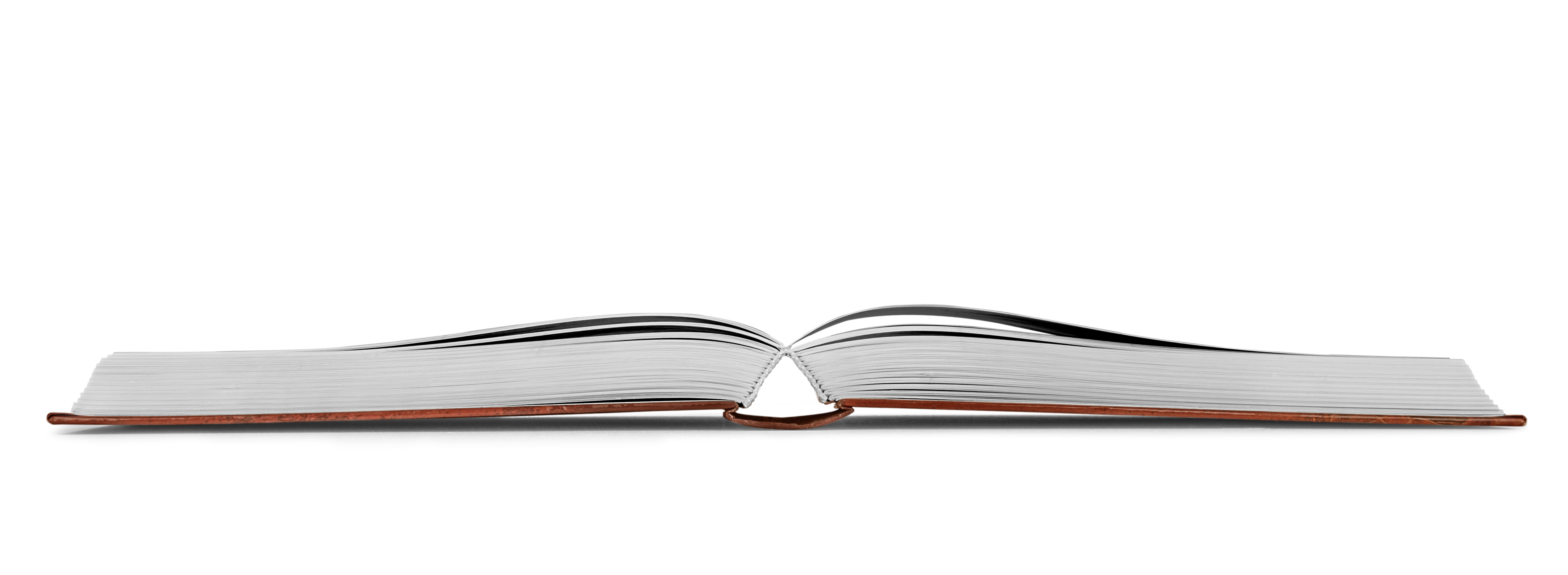 Amazon.co.uk: Quiller Publishing Ltd