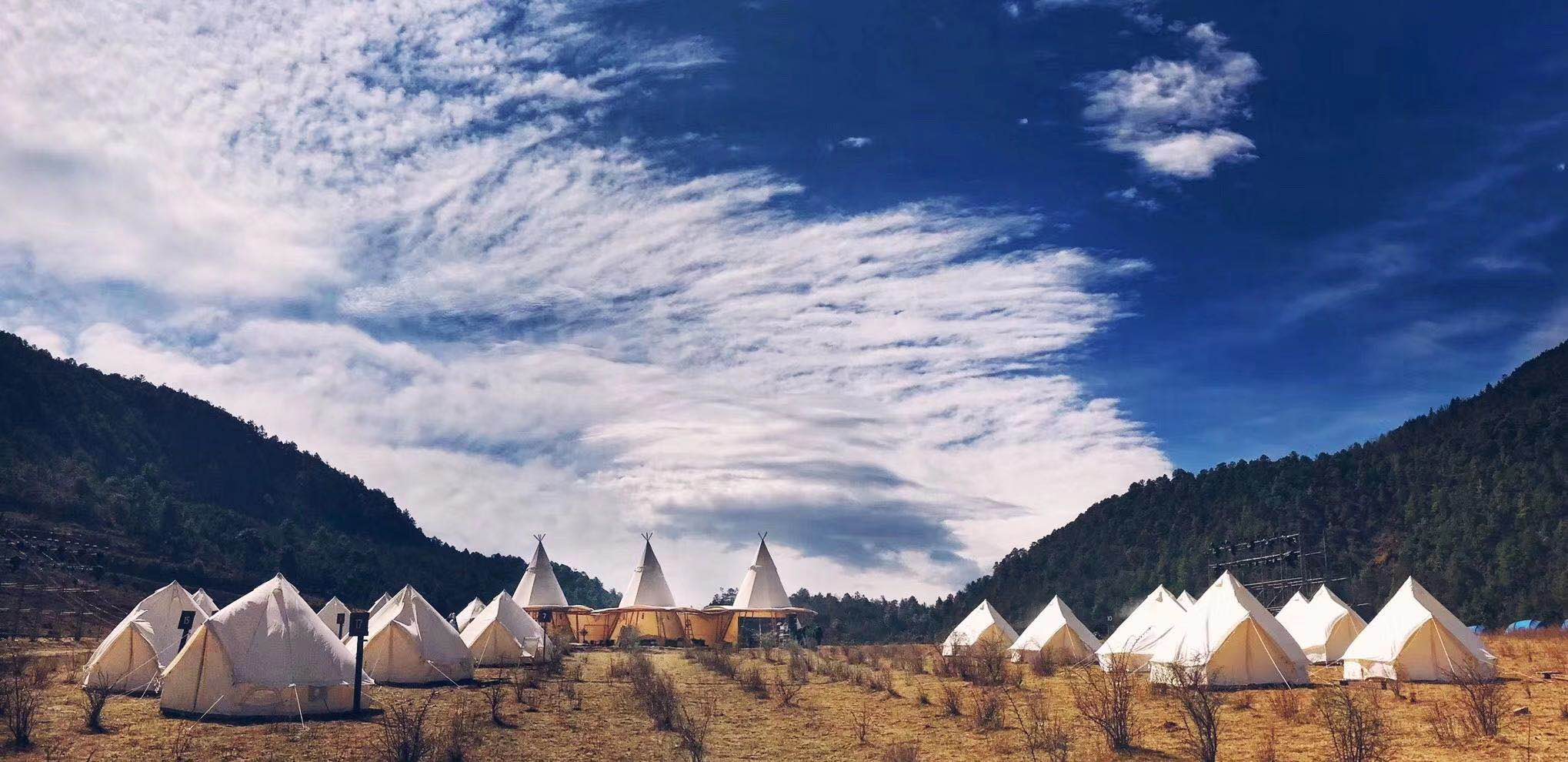 Amazon.co.jp: Joy Corn