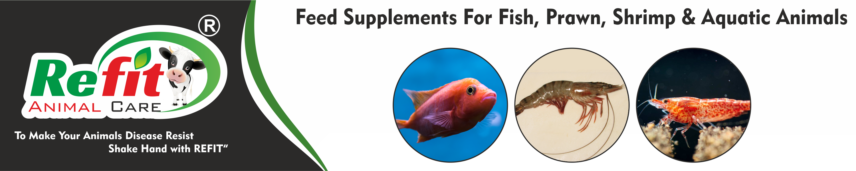 Amazon.in: REFIT ANIMAL CARE: Aqua Products