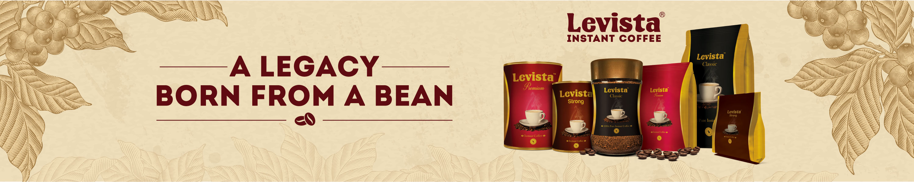 Amazon.in: Levista: COMBO PACKS