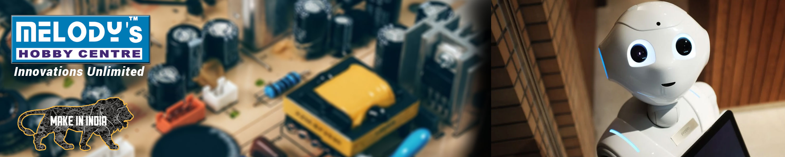 Amazon.in: MELODY"S HOBBY CENTRE: Mechatronics & Robotics