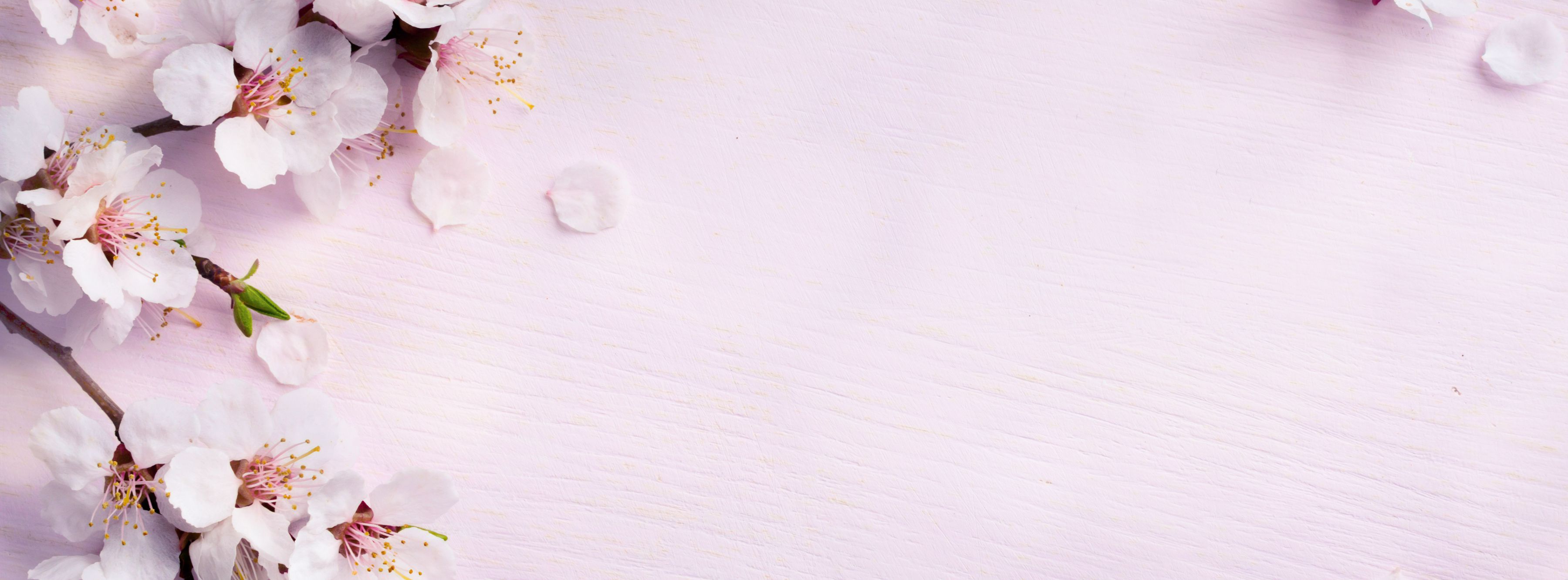 Amazon.in: Active Ultra Healthy Hamesha