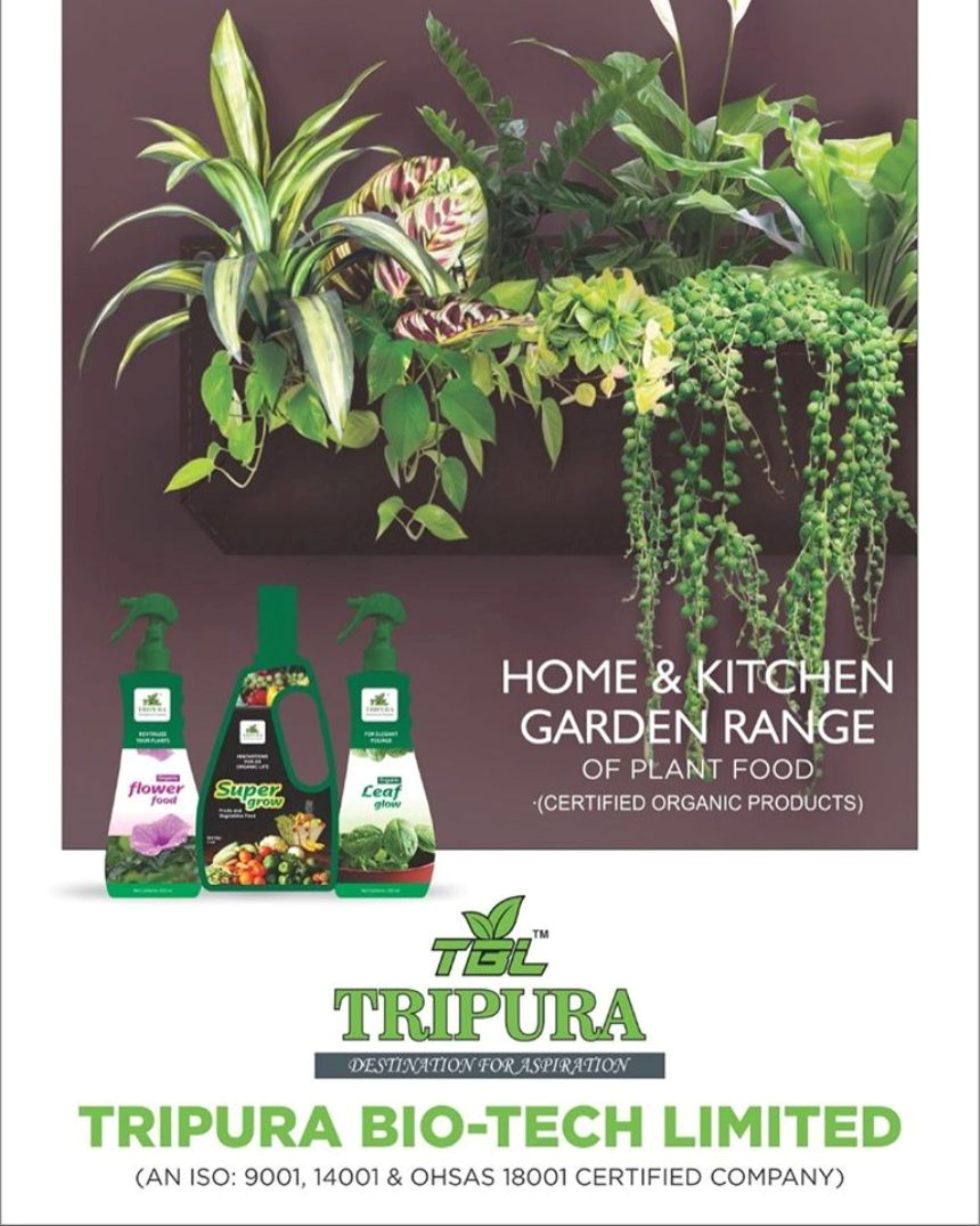 Amazon.in: TBL TRIPURA DESTINATION FOR ASPIRATION