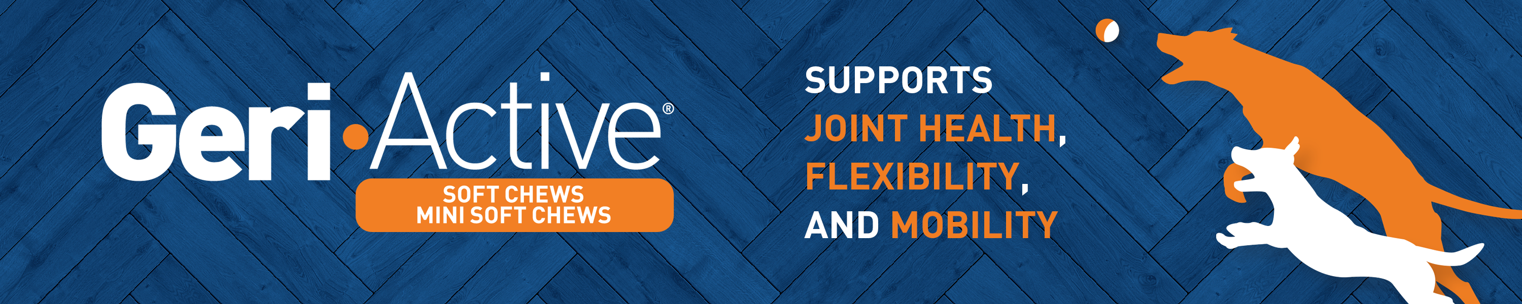 Amazon.ca: Geri-Active