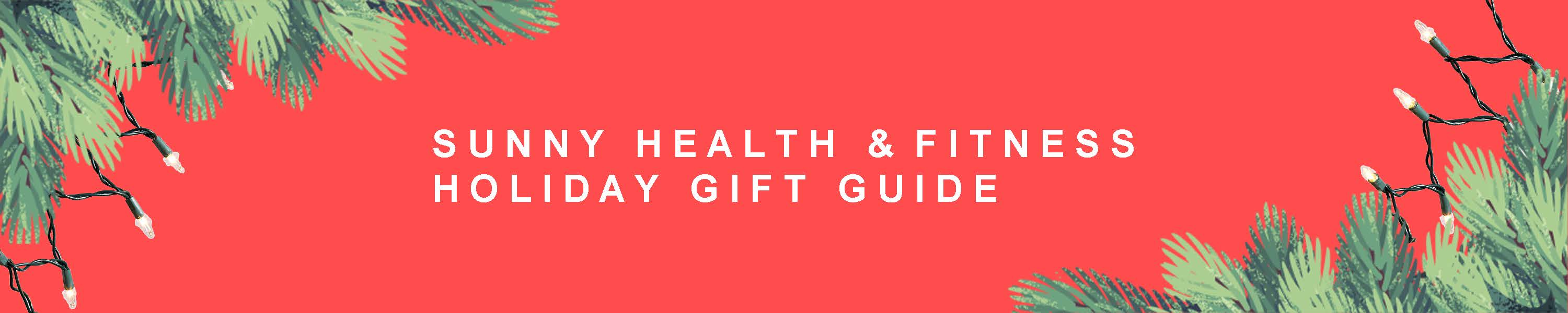 Amazon.ca: Sunny Health & Fitness: HOLIDAY GUIDE