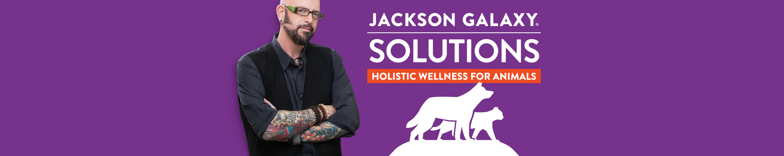 Amazon.com: Jackson Galaxy: For Cats