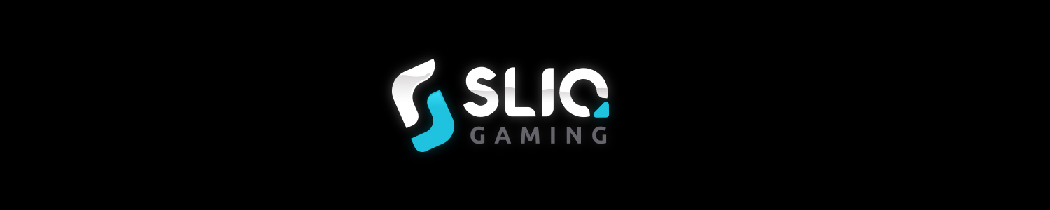 Amazon.com: Sliq Gaming: Pro Chargers