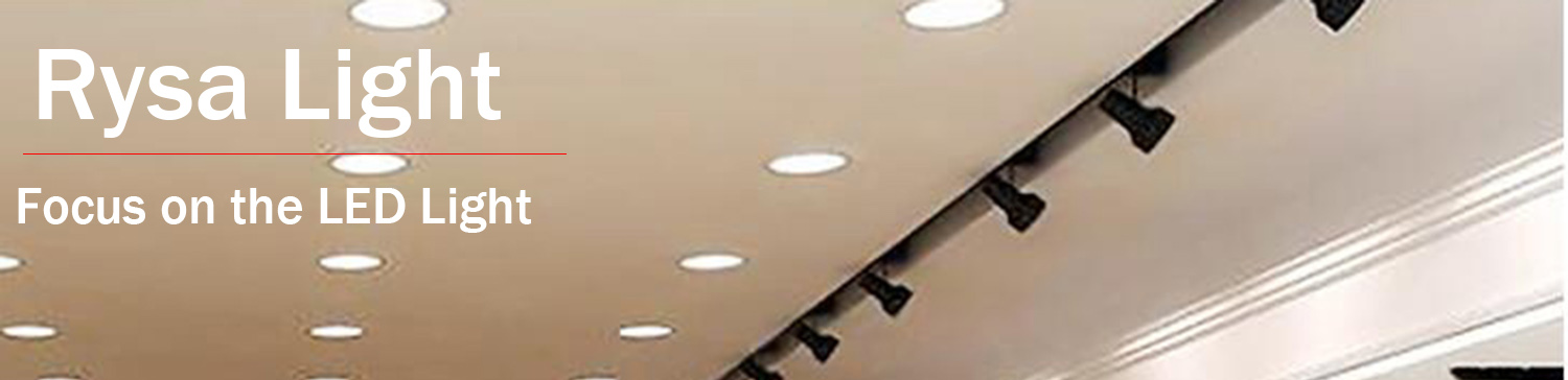 Amazon.com: Rysa Light