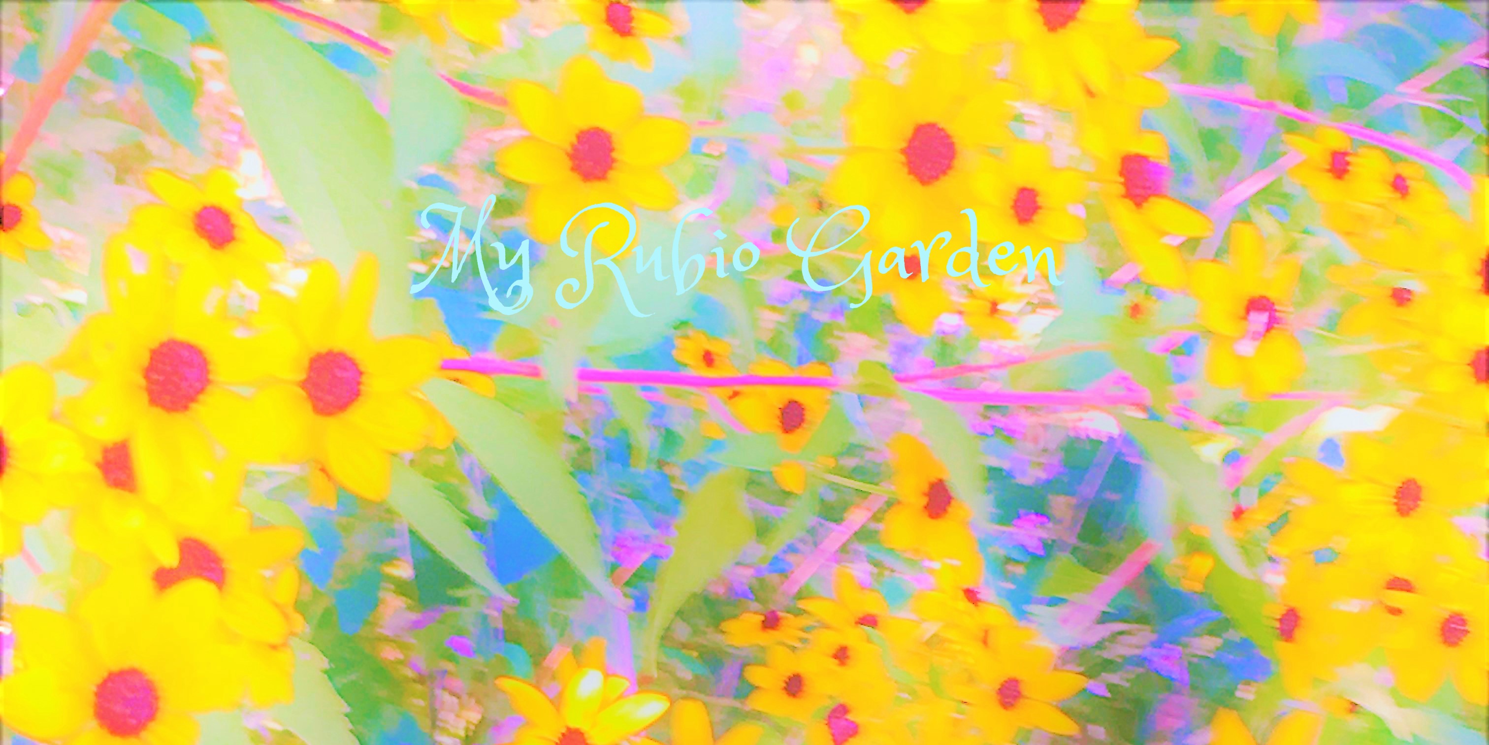 Amazon.com: My Rubio Garden